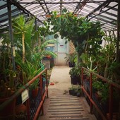 - NAU TRUE BLUE Connects