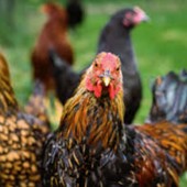 - 1891Connect - NCATSU