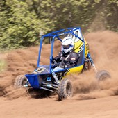 - University of Michigan Maize Pages