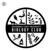 - The Jaguar Connection