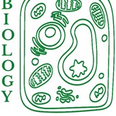 - Get Involved at SIUE