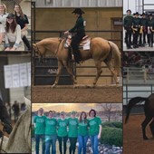 - UNT Student Activities OrgSync