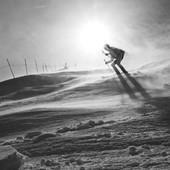 - Montana State University