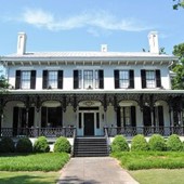 - UGA Involvement Network