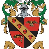 - Registered Student Organizations UW (RSOs)
