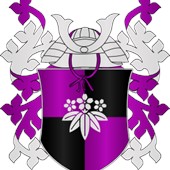 - UNT Student Activities OrgSync