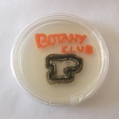 - PURDUE UNIVERSITY | BoilerLink