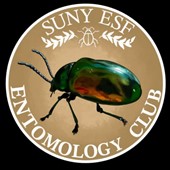 - SUNY College of Environmental Science and Forestry Engage