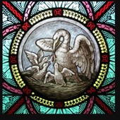 - Texas A&M University at Galveston - Wheelhouse