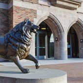 - Registered Student Organizations UW (RSOs)