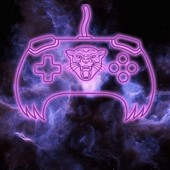 - Panther Involvement Network (PIN)