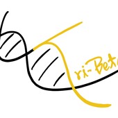 - Georgia Institute of Technology