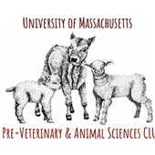 - UMass Campus Pulse