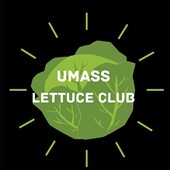 - UMass Campus Pulse