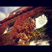 - Wisconsin Involvement Network (WIN)